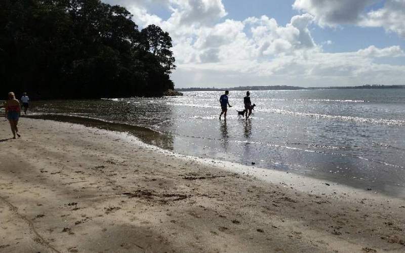 Long Bay Regional Park | Freedom/Basic Camp | New Zealand
